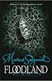 Floodland: Amazon.co.uk: Marcus Sedgwick: 9781858817637: Books