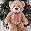 Amazon.com: Gund Stitchie 14" Bear Plush: Toys & Games