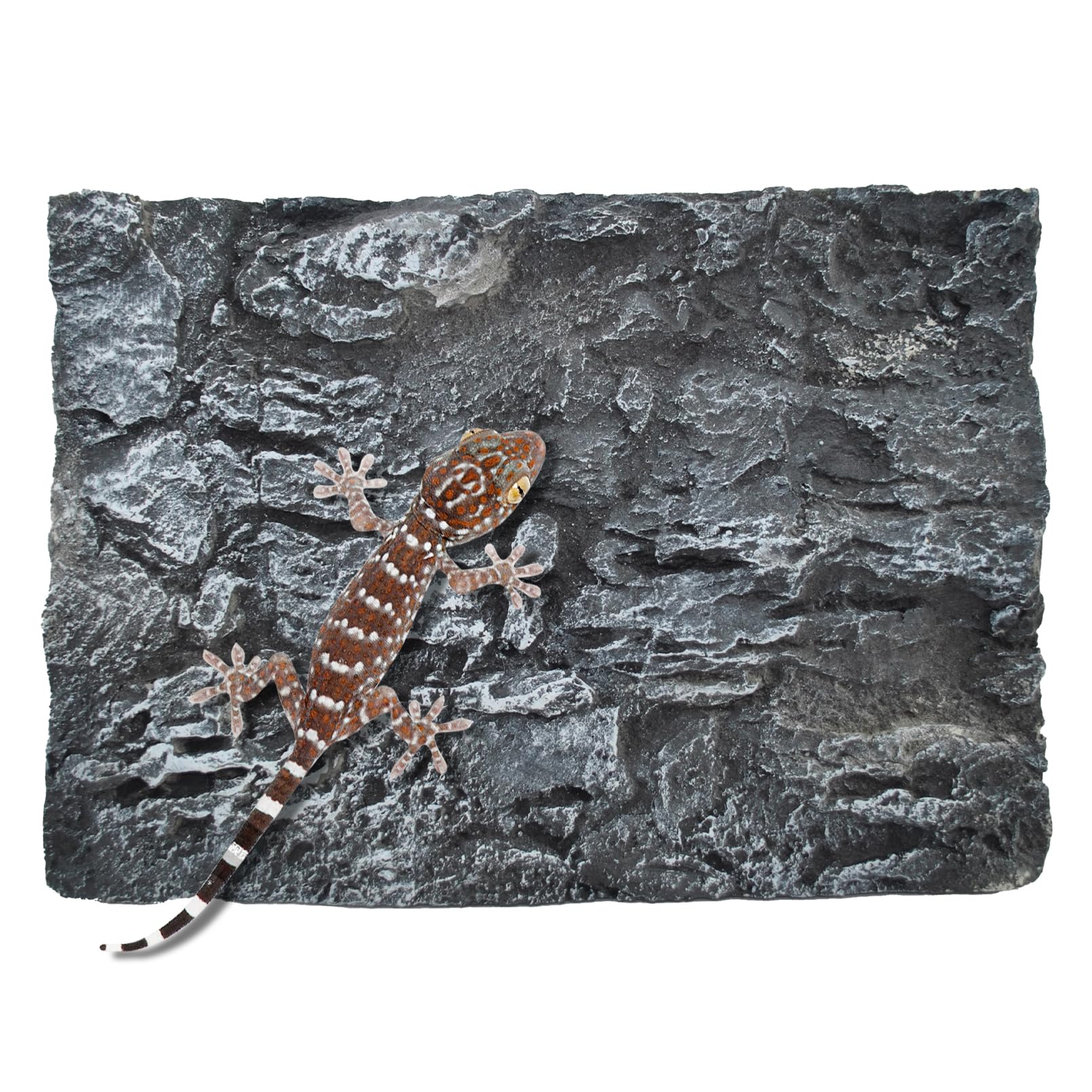 MUYG Reptile Tank Background Board Rock Terrarium Cork Background Board ...