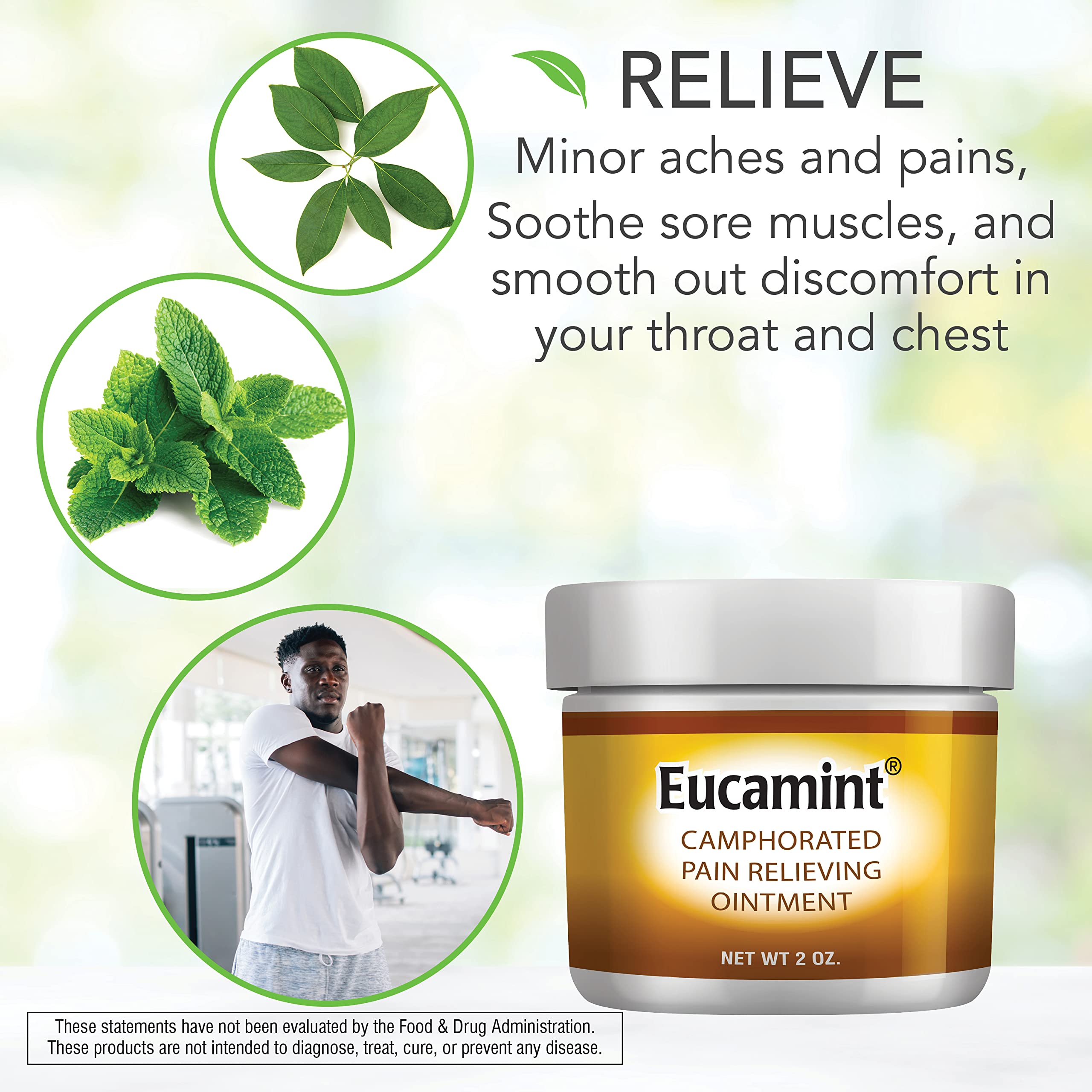 Mua Botanic Choice Eucamint-Pain Relieving Ointment-Muscle, Joints ...