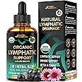 Amazon.com: USDA Organic Lymphatic Drainage Drops - Lymph Detox ...