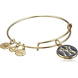 Amazon.com: Alex and Ani "Major League Baseball" Red Sox Cap Logo Rafaelian Gold-Tone Expandable ...