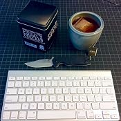 Amazon.com: JOCKO WHITE TEA 25 CT: Kitchen & Dining
