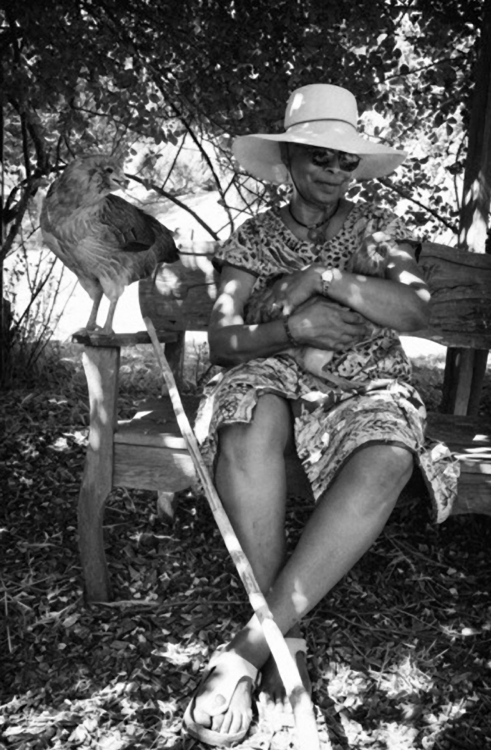 Alice Walker – Audio Books, Best Sellers, Author Bio | Audible.com