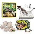 Amazon.com: Mega Fossil Dig Kit - Educational STEM Science Toys for ...