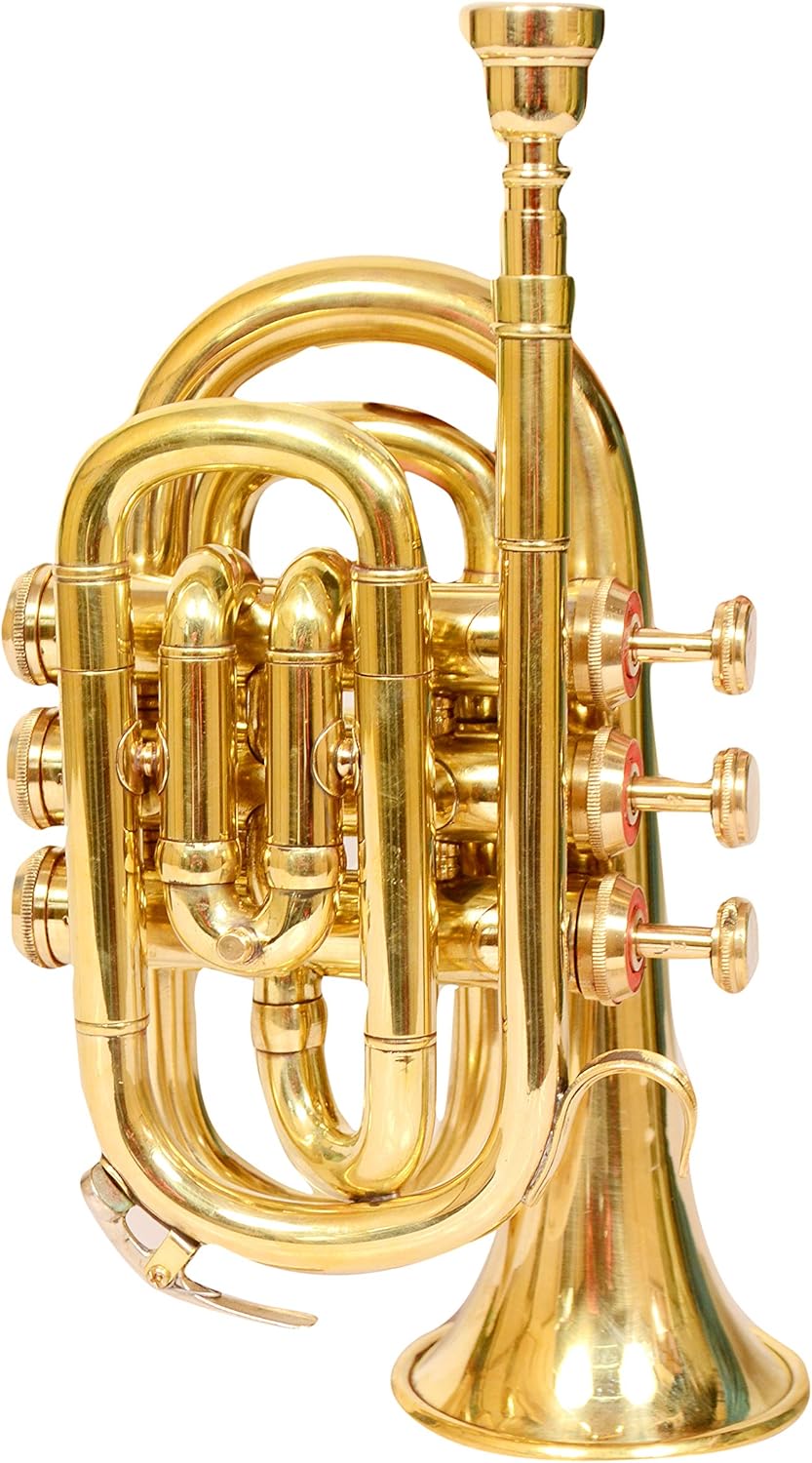 S.A Trading shining brass pocket trumpet with a: Amazon.in: Electronics