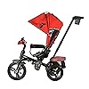 Evezo 302A 4-in-1 Parent Push Tricycle for Kids, Stroller Trike ...