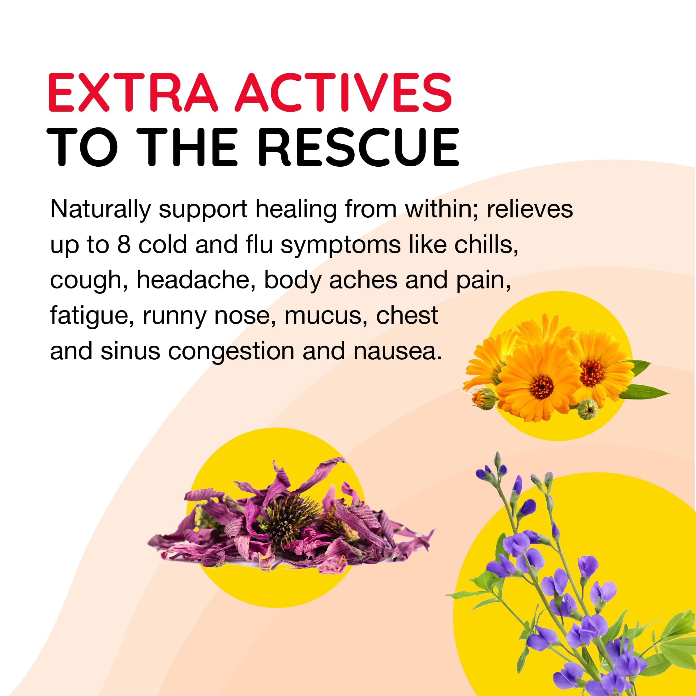 Mua MediNatura ReBoost Zinc +10 MAX Cold & Flu Symptom Relief Fast ...