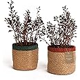 Amazon.com : Eco Living Jute Planter Basket-Woven Jute Rope Covers for ...