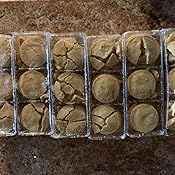 Kirkland Signature Walkers Premium Shortbread Selection Gift Tin, 4.6 ...