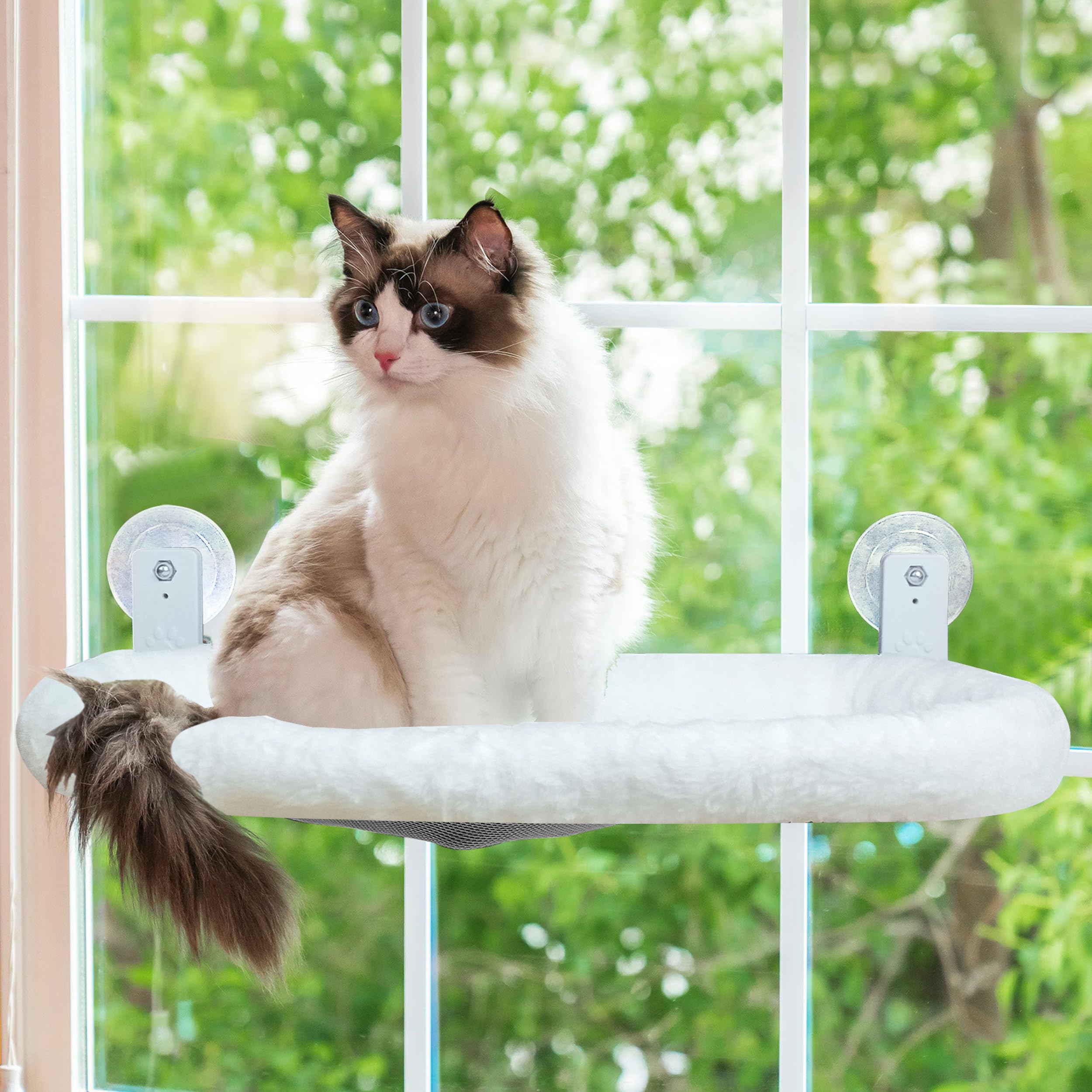 Wicify Foldable Cat Window Perch, Cordless Cat Hammock for Window with ...