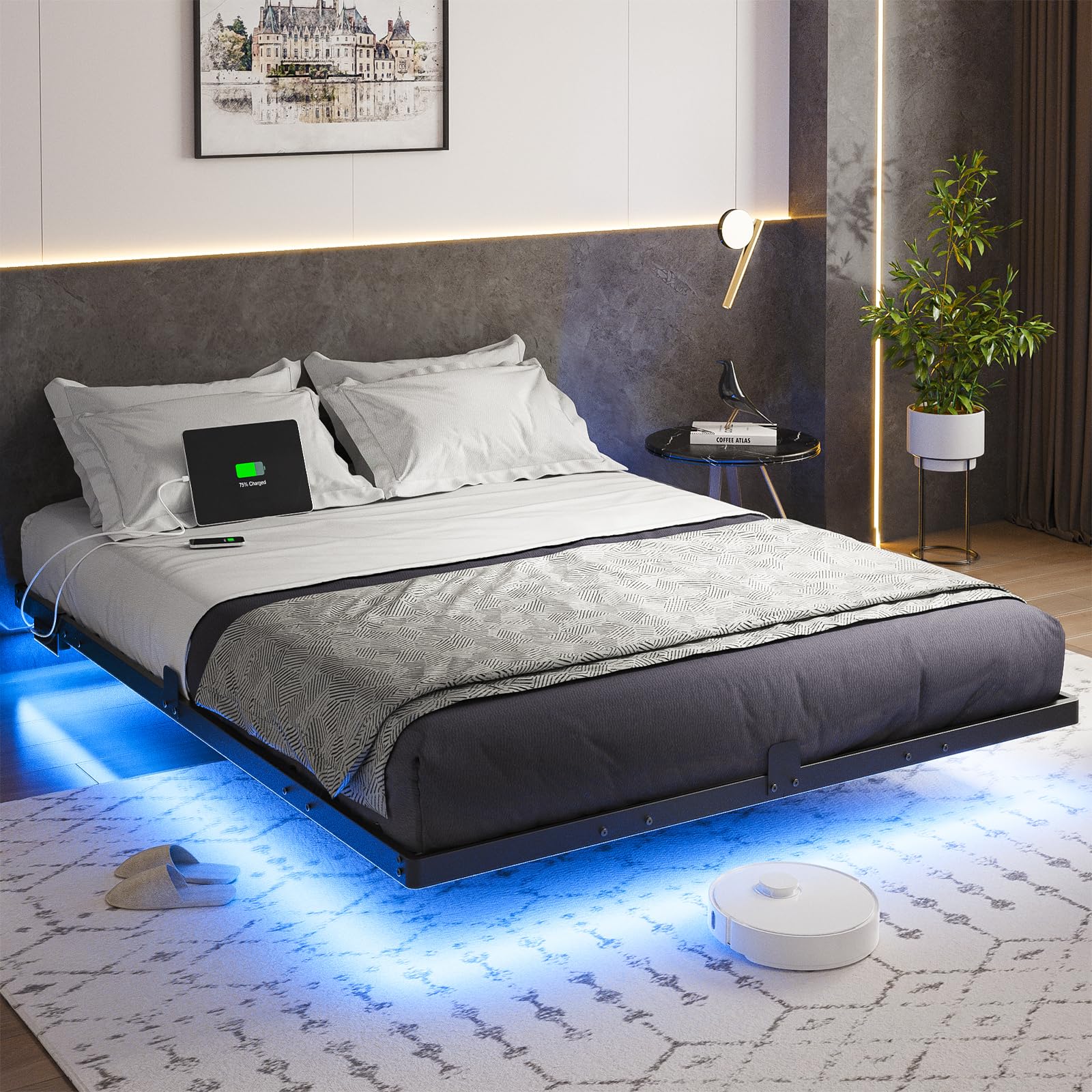 Queen Size Floating Bed Frame with LED Lights, USB Charging Station ...