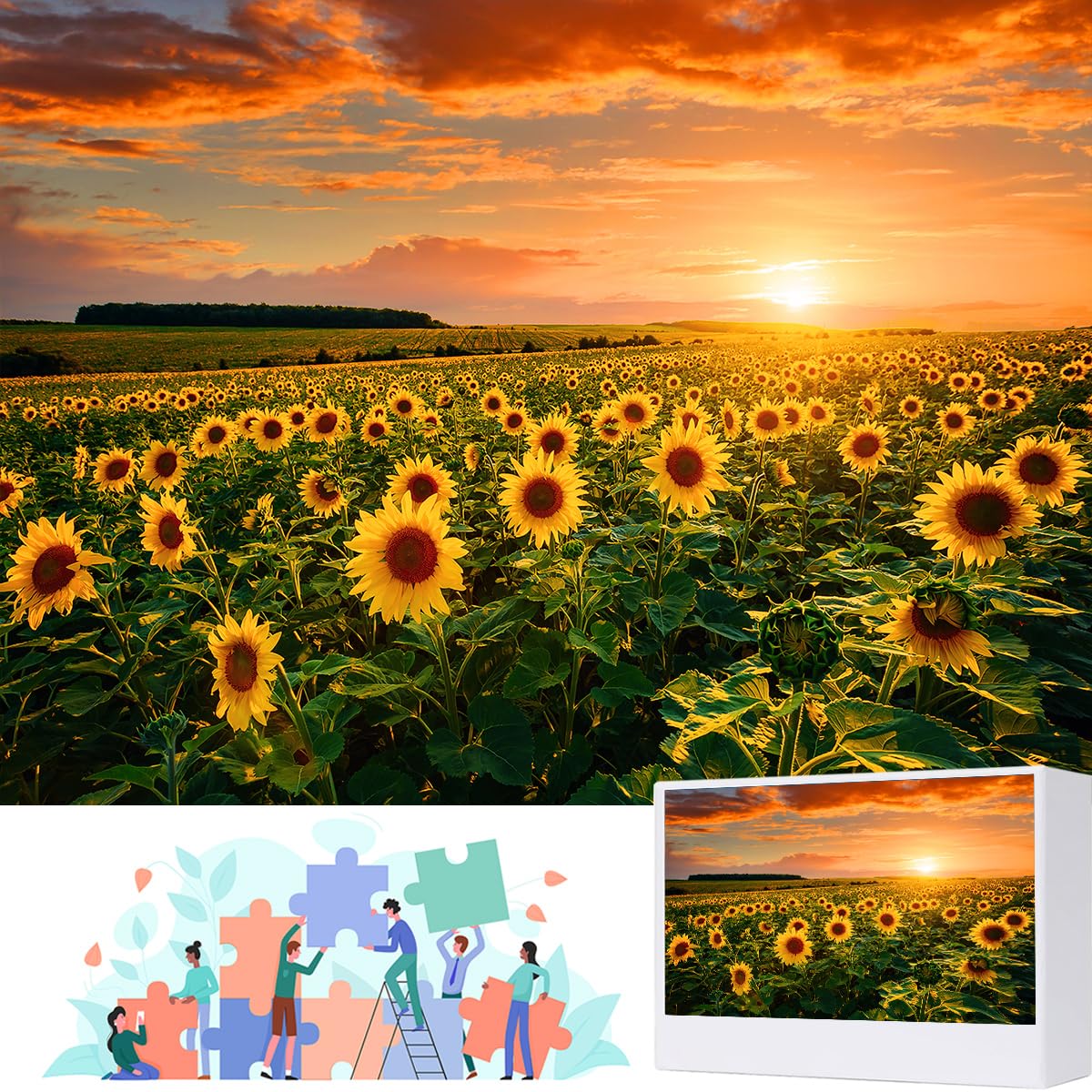 Mua 1000 Pieces Flower Puzzles for Adults, Sunflower Field Colorful ...