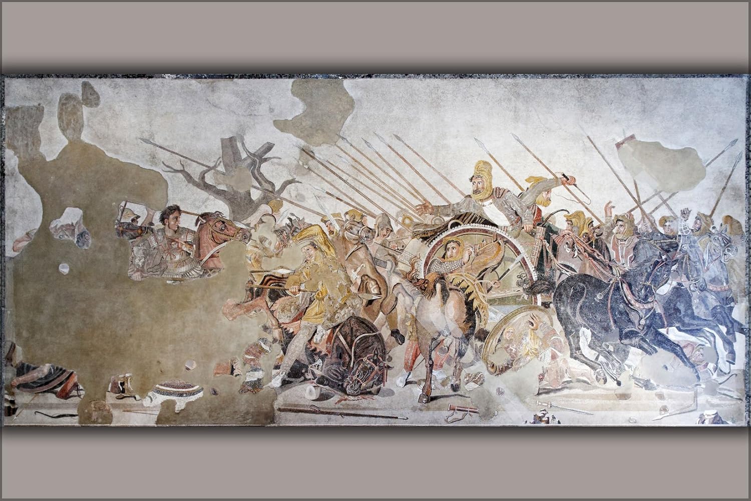 Amazon.com: History Galore 24"x36" Gallery Poster, Alexander The Great ...