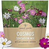 Amazon.com : Crazy Cosmos Mix - Large 1 Ounce Packet - 5,000 Flower ...