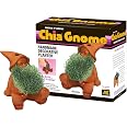 Amazon.com: Chia Pet Gnome with Seed Pack, Decorative Pottery Planter ...