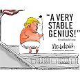 A Very Stable Genius: @realDonaldTrump: Luckovich, Mike: 9781770414785 ...