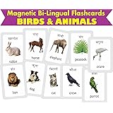 Buy Junglee Janwar Chart for kids (Wild Animals chart in Hindi) Book ...