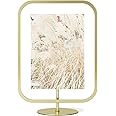 Amazon.com: Umbra Infinity Picture Frame, Floating Photo Display for ...