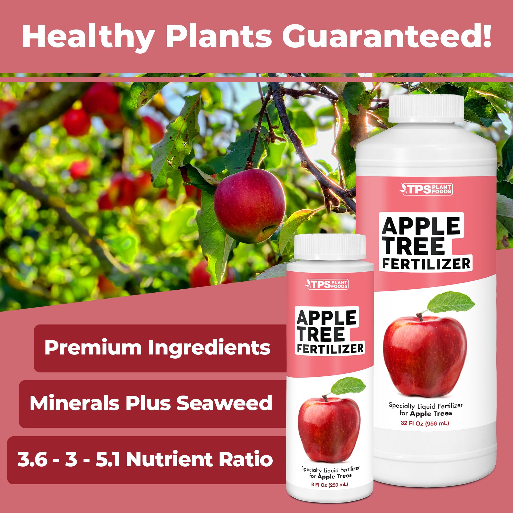 Mua Apple Tree Fertilizer for All Apple, Pear, Nut and Fruit Trees ...