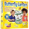 Amazon.com: Painted Lady Butterfly Kit - Habitat, STEM Journal ...