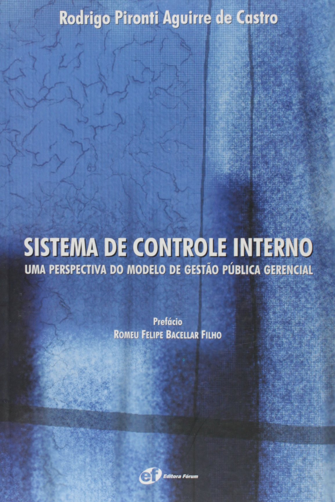 Sistema De Controle Interno PDF Eduardo Castro