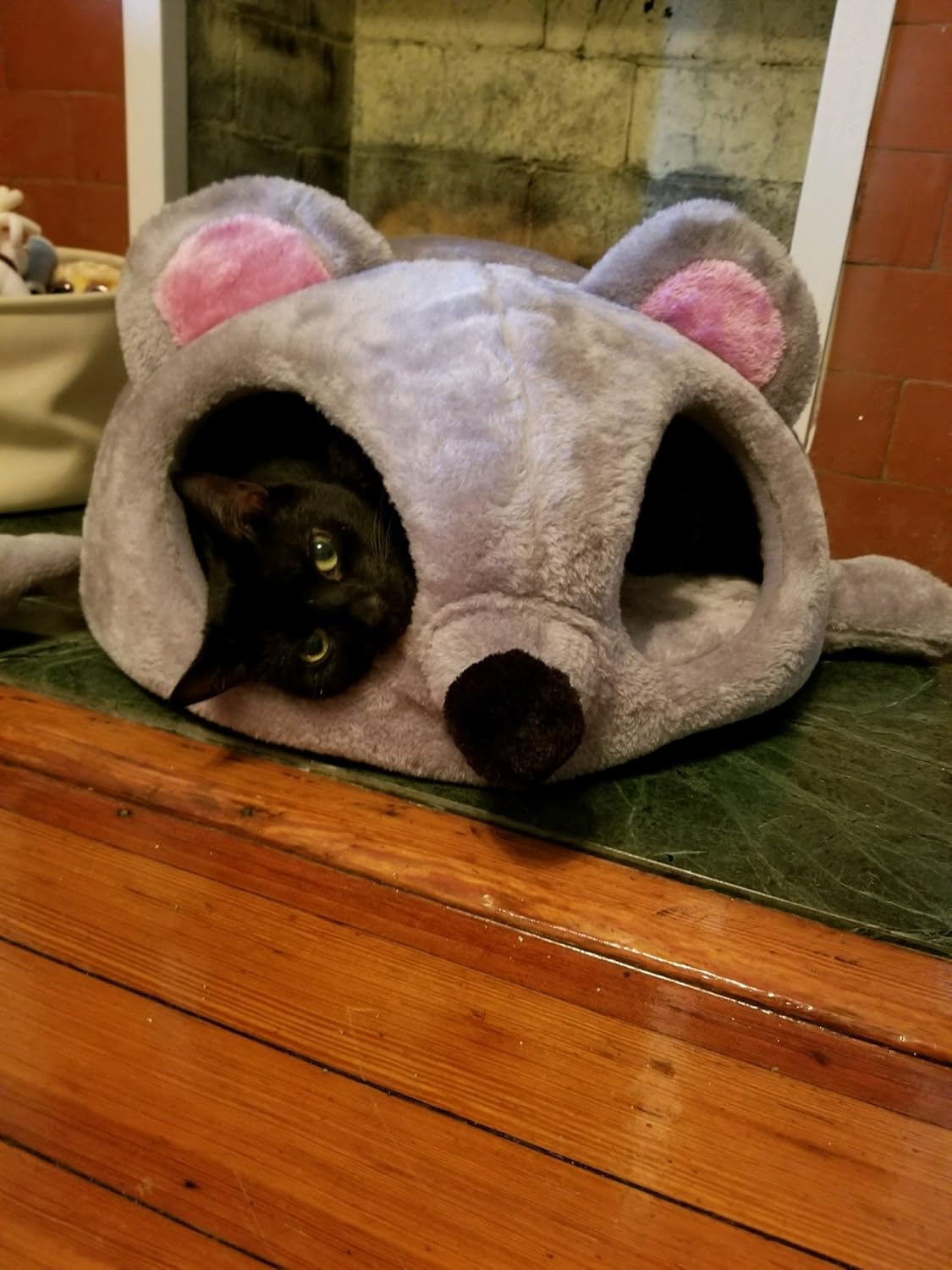 Hoopet Cat Caves Warm Cat House Bed Cartoon Mouse Design Grey: Amazon ...