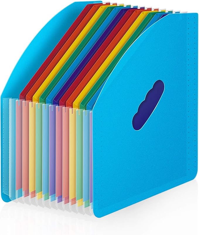BluePower Trieur à Soufflets Classeur Rangement 13 Compartiments, A4 ...
