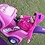 Amazon.com: Step2 Push Around Buggy Toddler Push Car, 10th Anniversary ...