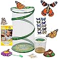Amazon.com: Insect Lore Butterfly Garden Gift Set | 8" Habitat with ...