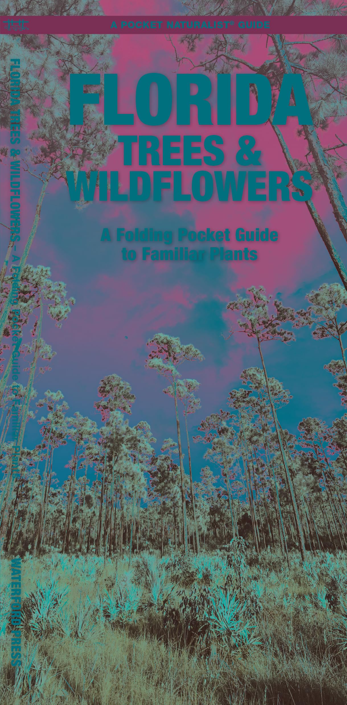 Mua Florida Trees & Wildflowers: A Folding Pocket Guide to Familiar Plants (Wildlife and Nature ...