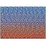 Amazon.com: Running Free 18"x13" Stereogram Poster: Home & Kitchen