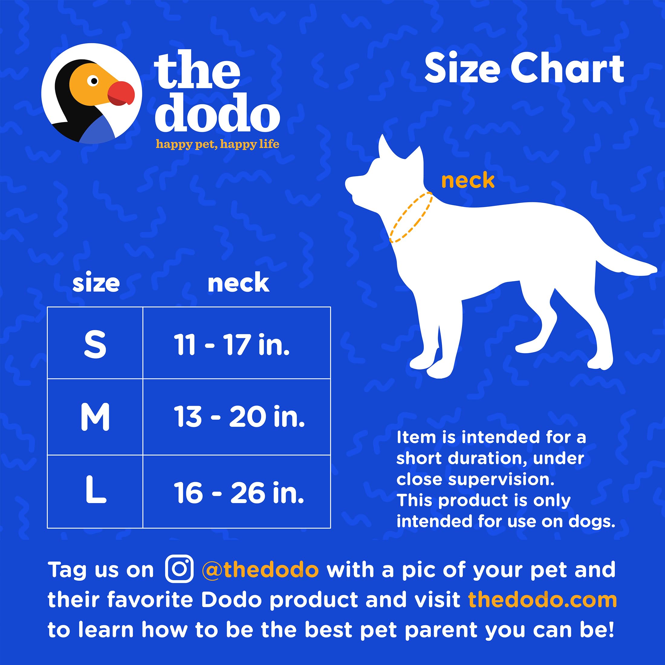 All Nylon Yellow Collar and Leash Set - Small; Matching Cute Leash and ...