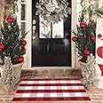 Amazon.com: Christmas Red and White Plaid Rug - 28 x 43 Inches Outdoor ...