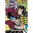 Demon Slayer - Kimetsu no Yaiba Vol. 4 | Amazon.com.br