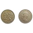 Amazon.com: Coins for Collectors - Circulated British 1964 Sixpence ...