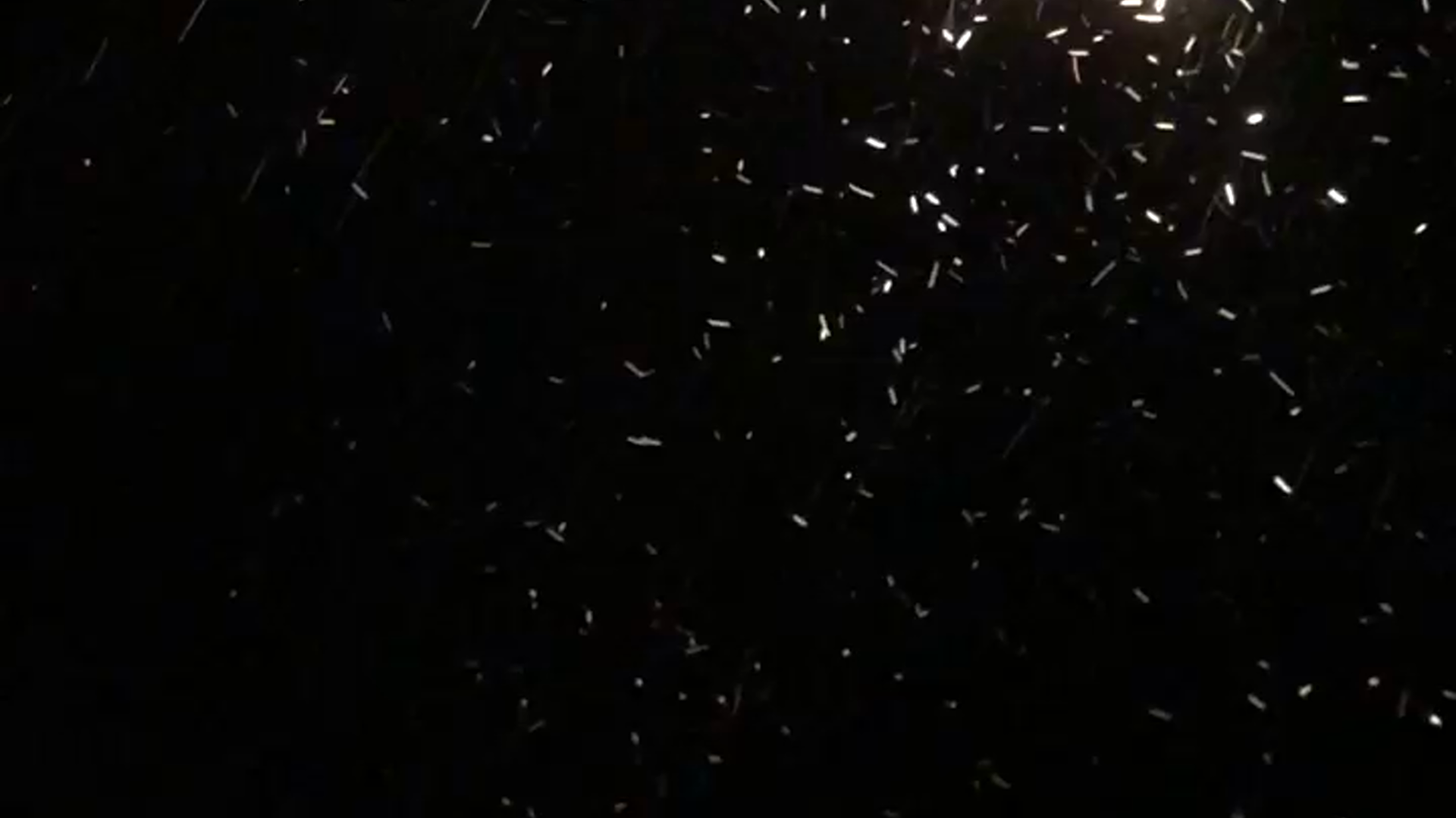 Watch Burgess 1443 Propane Insect Fogger for Fast and Effective ...