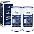 Amazon.com : AQUIVEX C900 Pool Filter Cartridges 90 Sq. Ft., Compatible ...