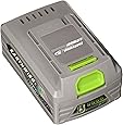 Amazon.com : Earthwise BL82425 24 Volt 2.5 Ah Lithium Ion Replacement ...