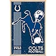 Amazon.com: Trends International NFL Indianapolis Colts - Retro Logo 14 ...