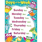 Amazon.com : Carson Dellosa Owl Pals Colors Chart (114122) : Office ...