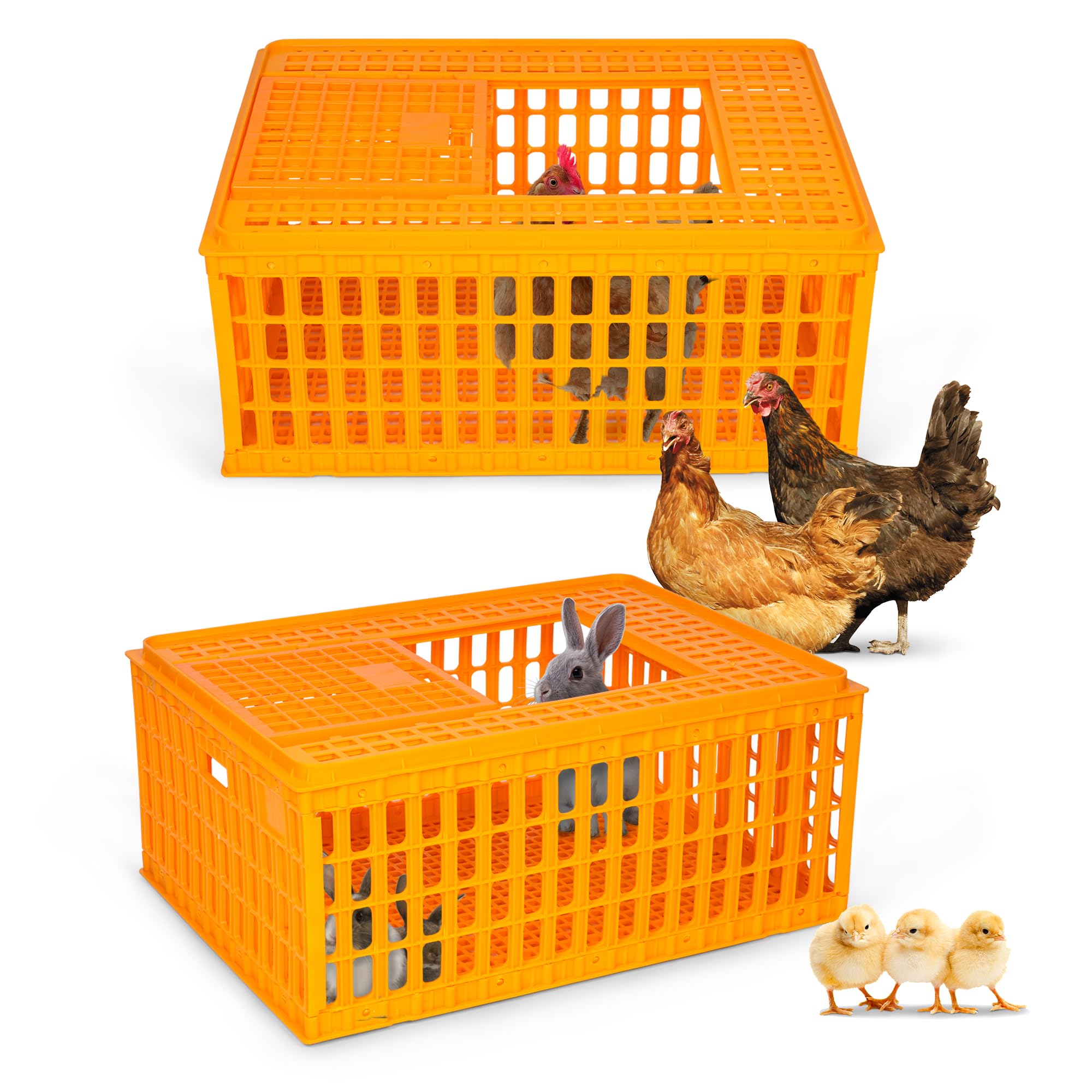 lukar Poultry Carrier Crate Plastic Chicken Transport Crate Cage Heavy ...
