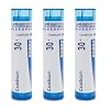 Boiron Causticum 30C Homeopathic Medicine for Bladder Incontinence ...