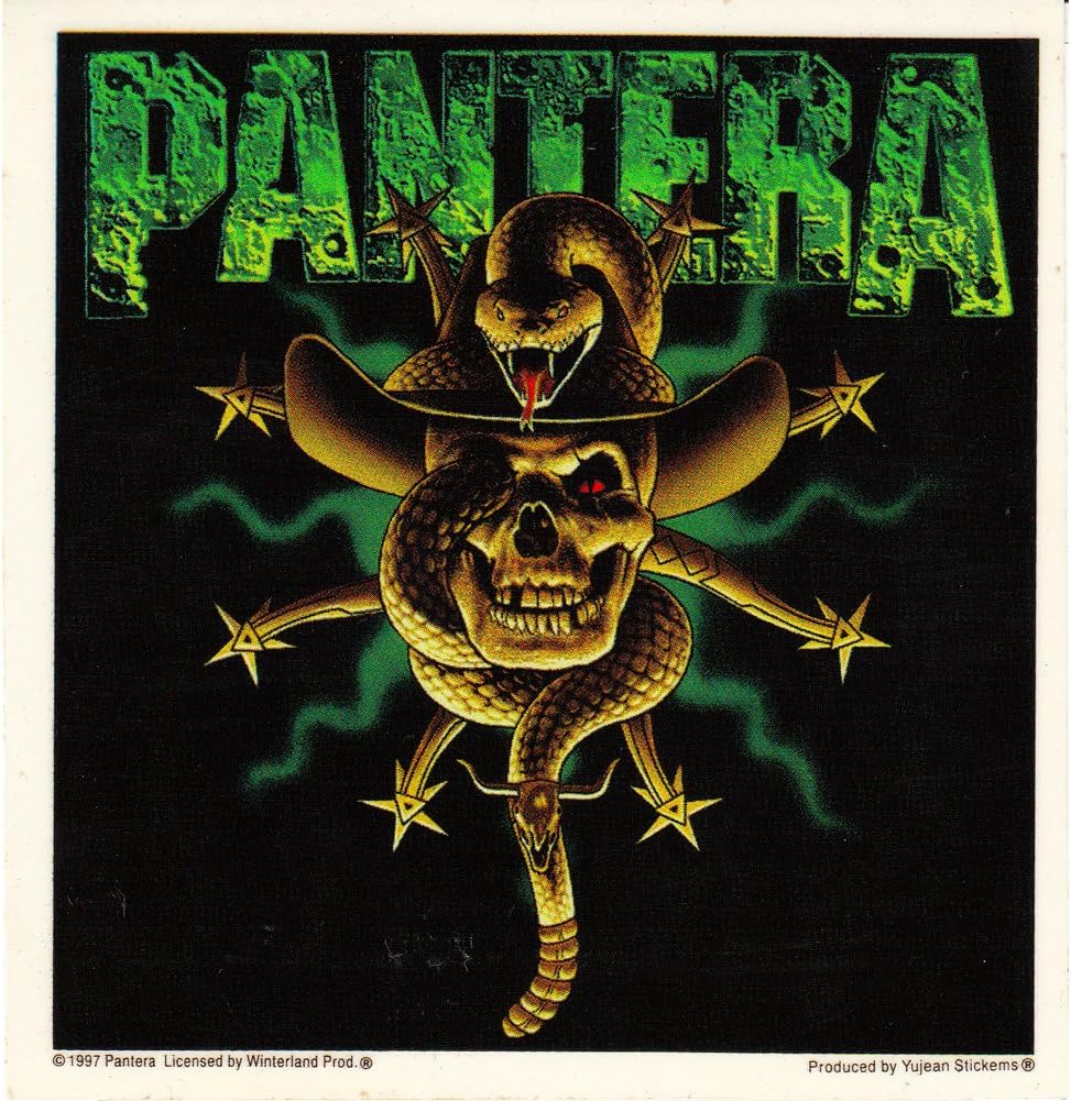Amazon.com: Pantera Snake and Skull Sticker