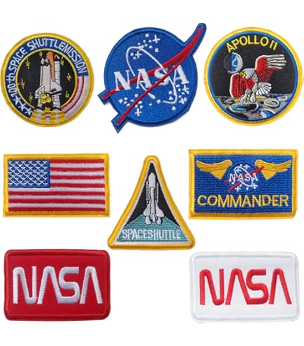 Nasa Protective Services Badge