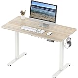 TechOrbits Adjustable Standing Desk – 47 x 24 Inch, Motorized Electric ...