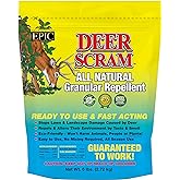 Amazon.com: Enviro Protection Industries Iguana Scram All Natural ...