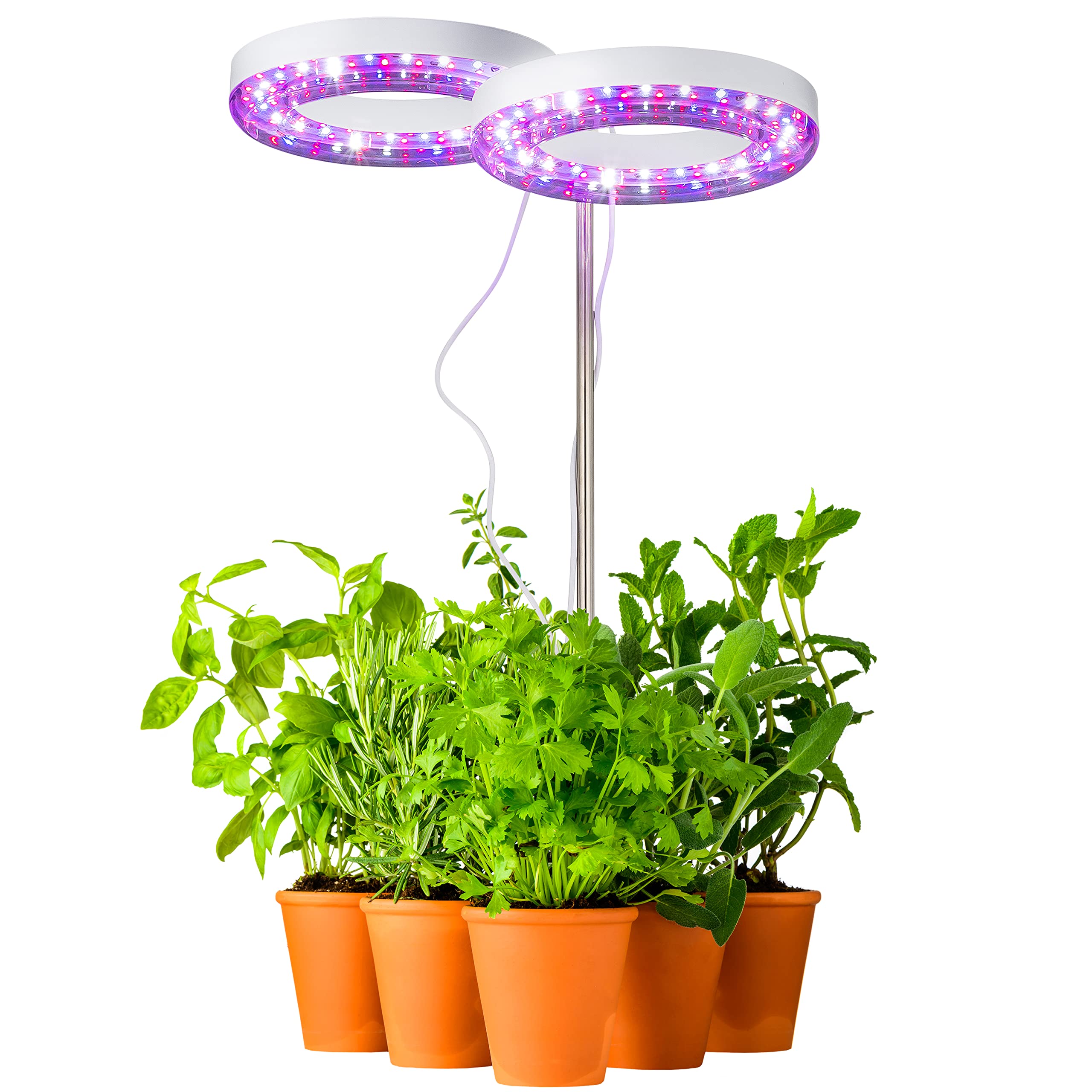 Brite Labs Halo Plant Light - 2 Adjustable LED Rings, Red Blue White ...