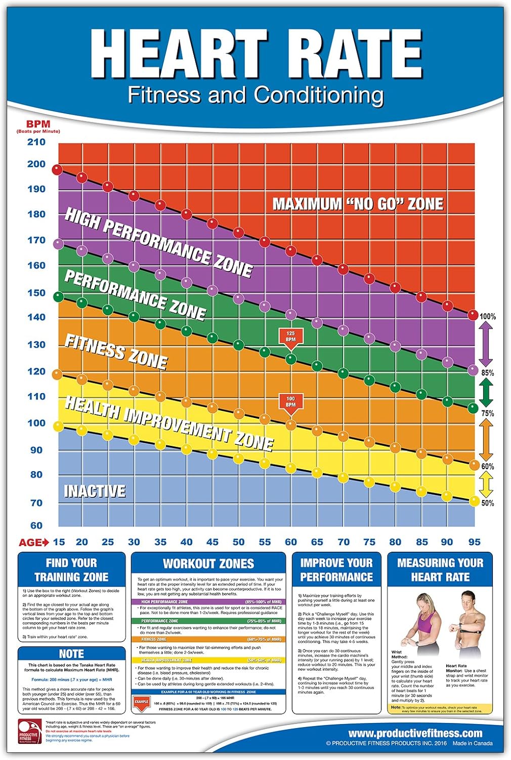 Athletic Heart Rate Chart My XXX Hot Girl