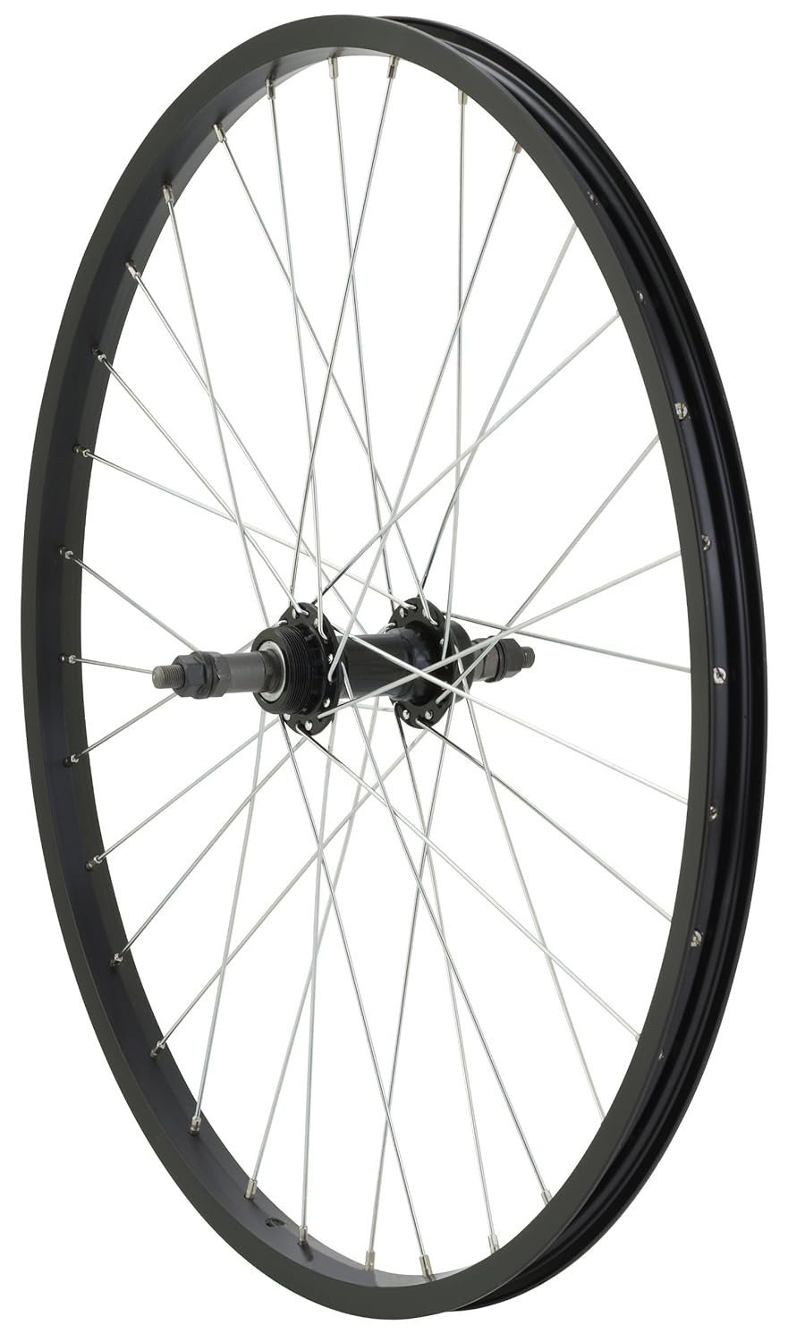 Amazon.com : Avenir 32H Alloy 24 Inch x 1.50 Inch 7spd Freewheel Rear ...